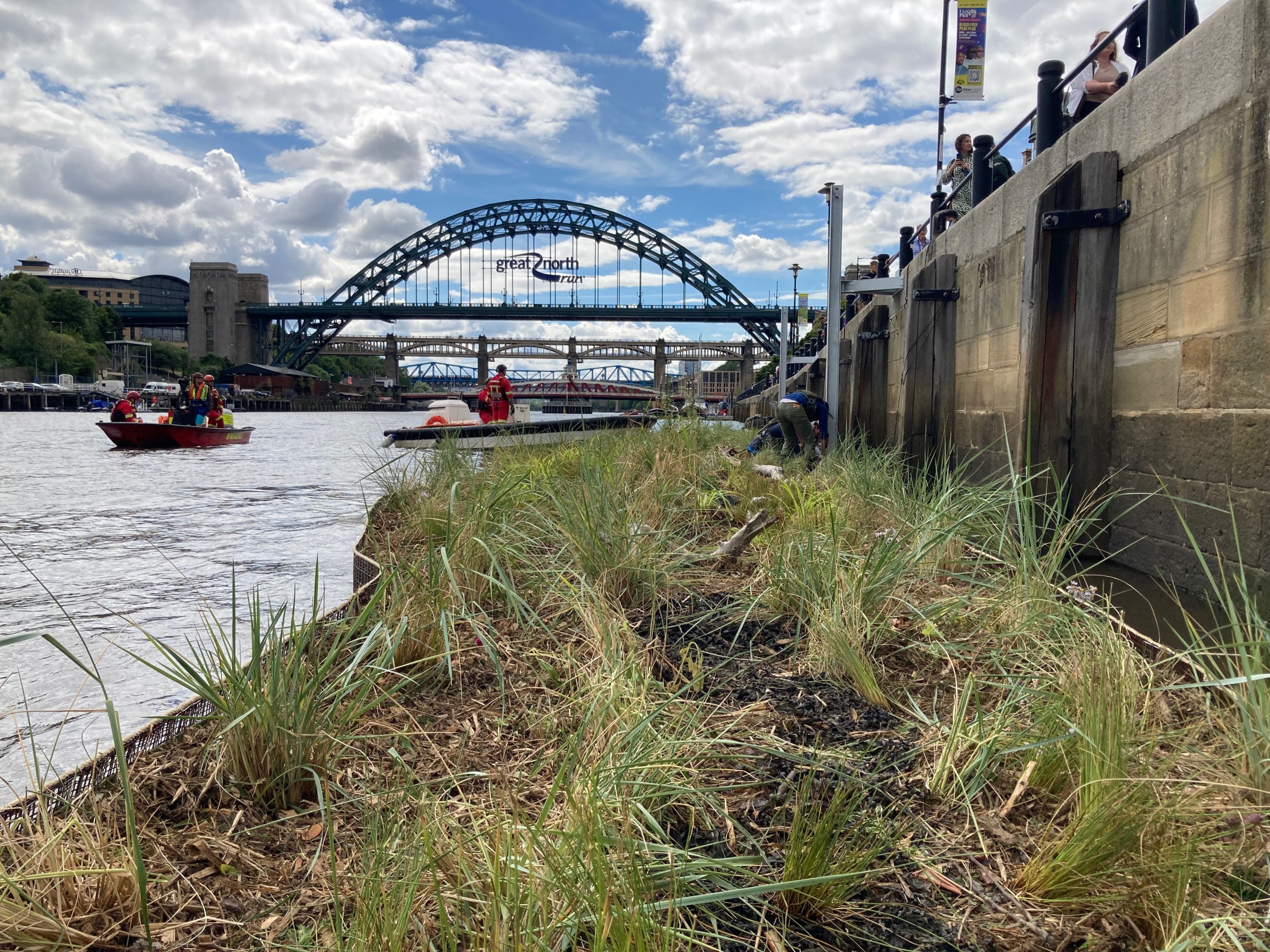 Find Out About Newcastle’s Innovative New Floating Ecosystem | Get into ...