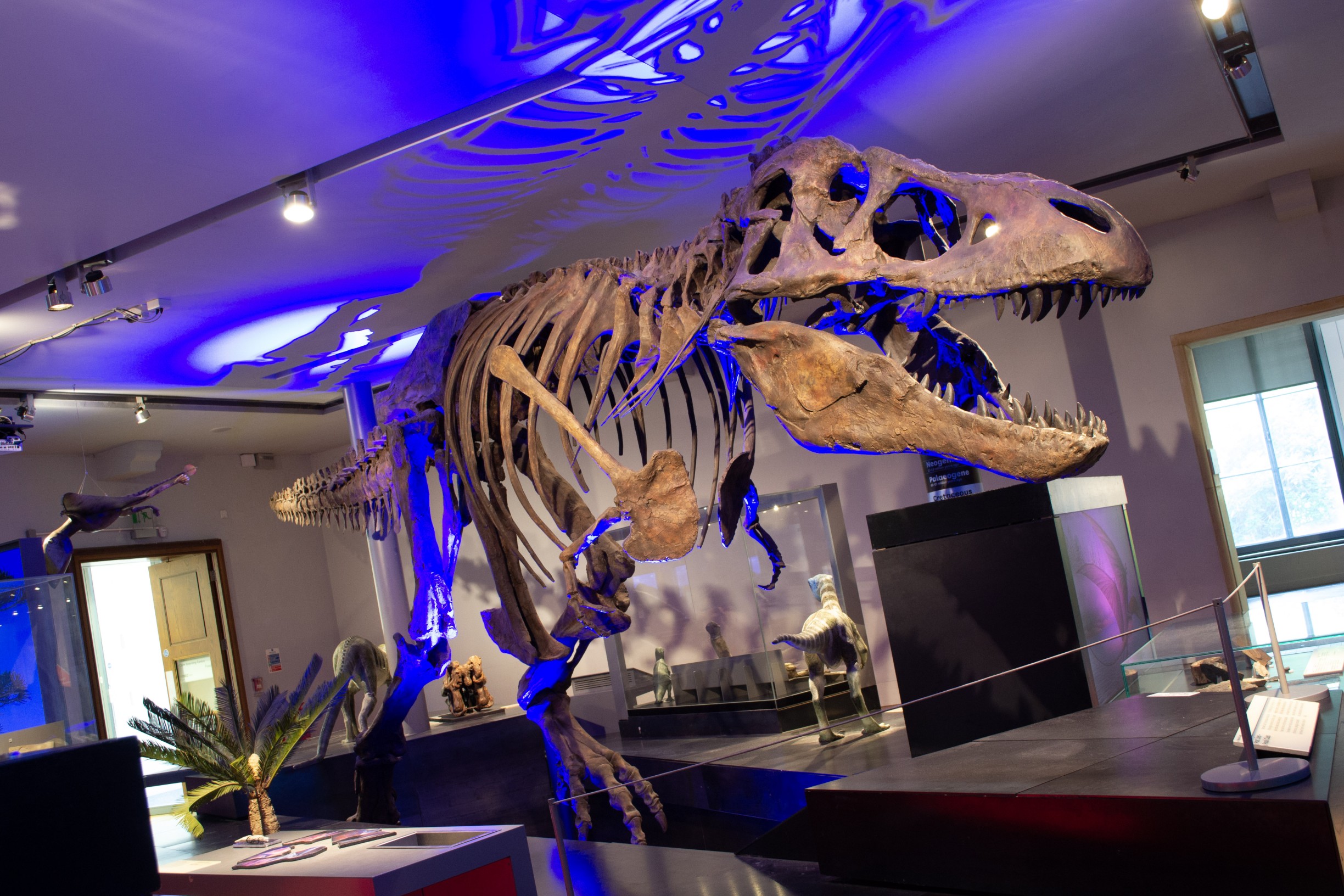 Behind the Door Of... Great North Museum: Hancock | Get into Newcastle ...