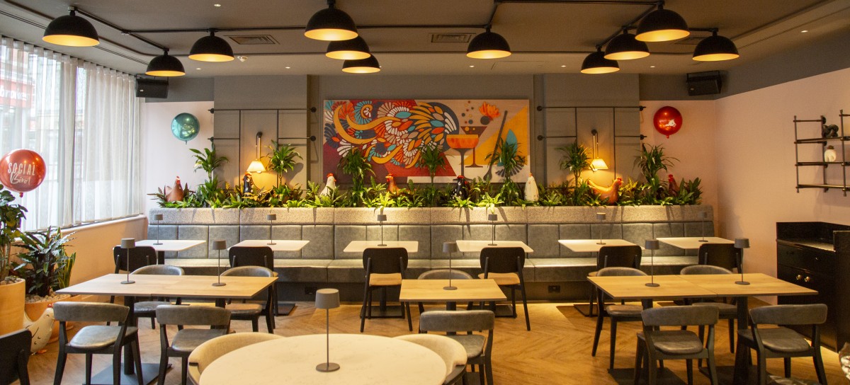 Introducing Social Bird | Get Into Newcastle | Get into Newcastle