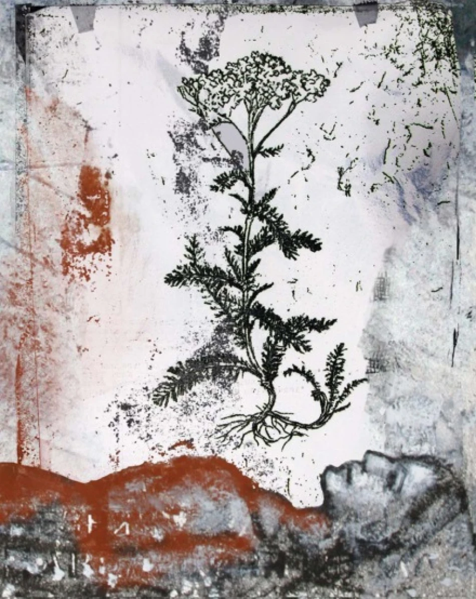 Gillian Allnutt & Tara Bergin: Newcastle Centre For The Literary Arts ...
